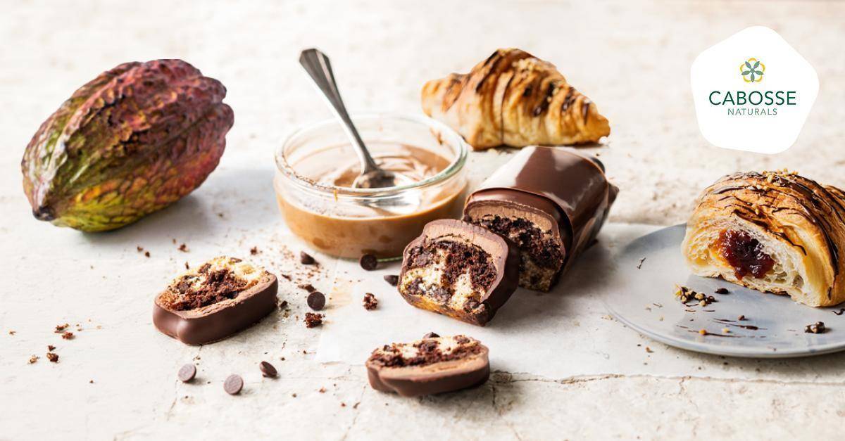 Barry Callebaut upcycled cacaofruit sustainability solutions portfolio Barry Callebaut upcycled cacaofruit sustainability solutions portfolio